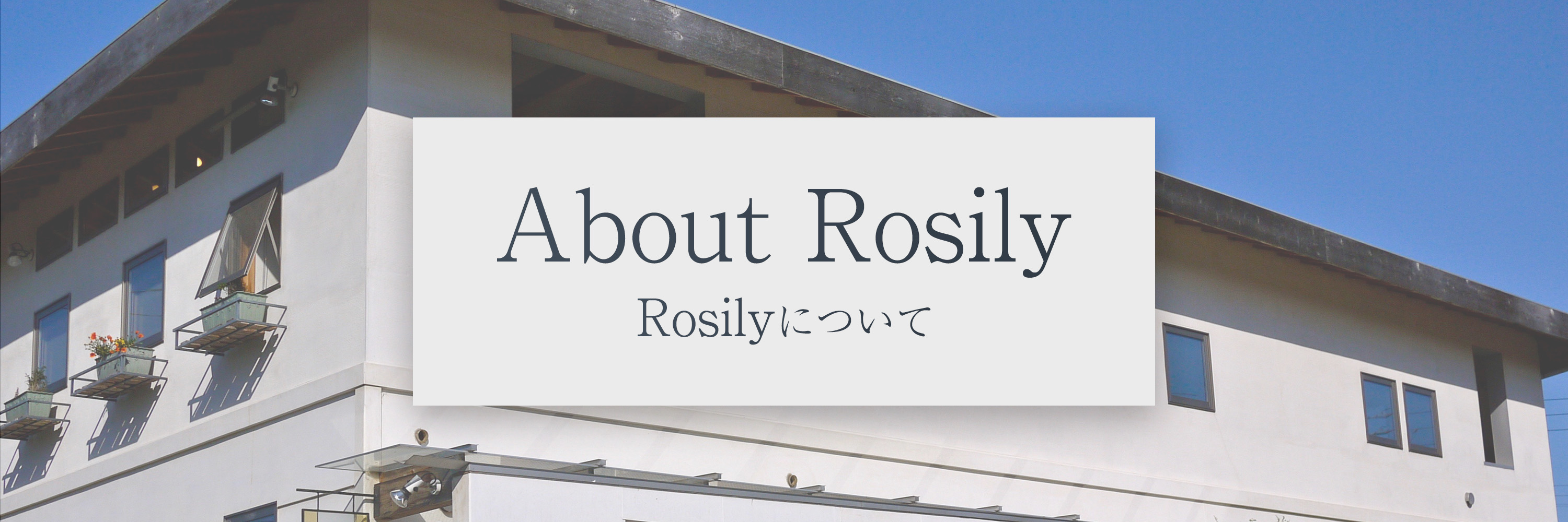 Rosilyについて 【アタバッグ&アタ雑貨 アタ専門店】 Rosily（ロージリー）